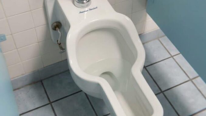Huntsville Space Center Explores Women’s Urinals: A Modern Shift in ...